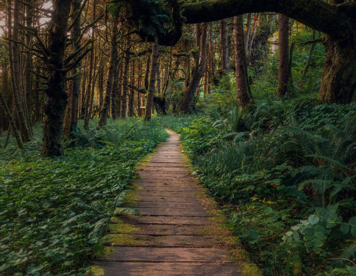 Invest Europe ESG Reporting Guidelines